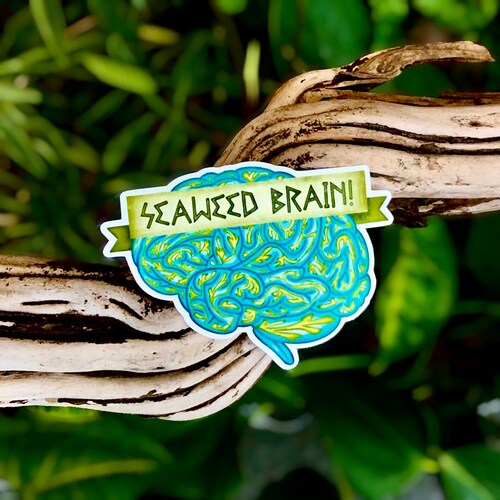 We Are Made of Star Stuff Astronaut Helmet Vinyl Sticker | Etsy