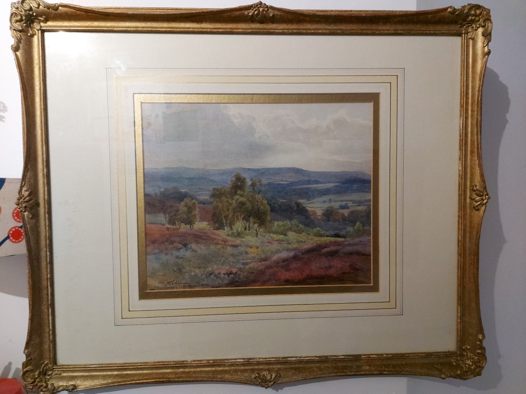 Beautiful Watercolor by Hilda Hechle: the Common Fittleworth - Etsy