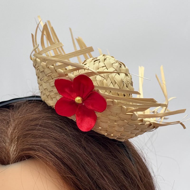 Pava Hat Traditional - Etsy