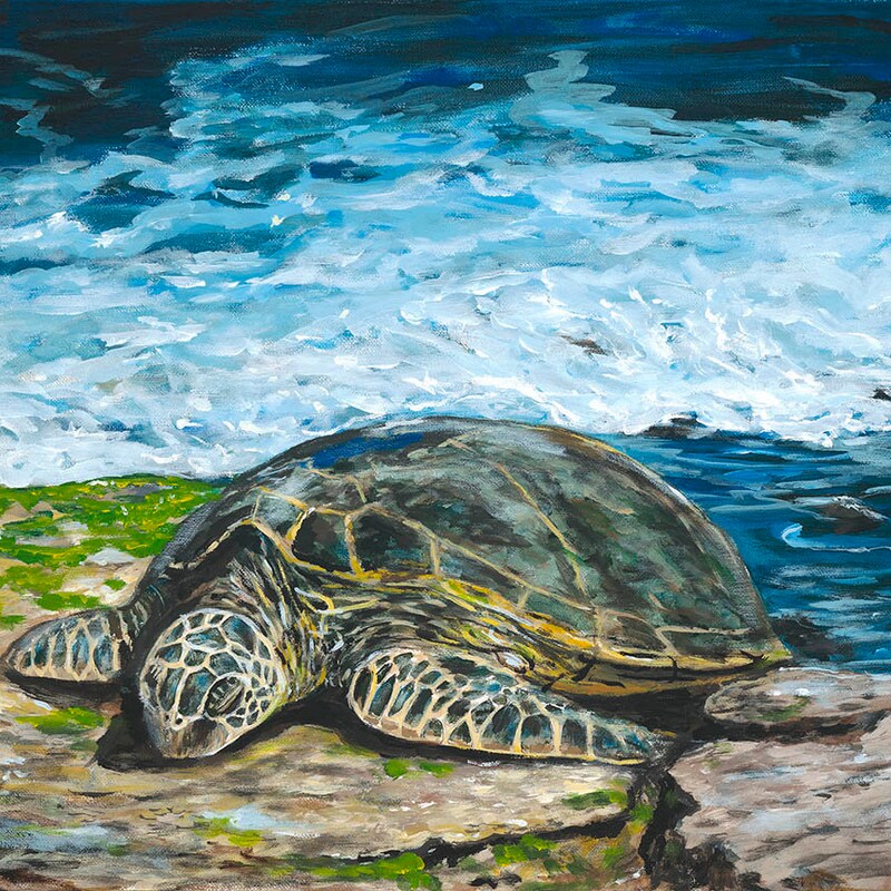 Honu Painting - Etsy