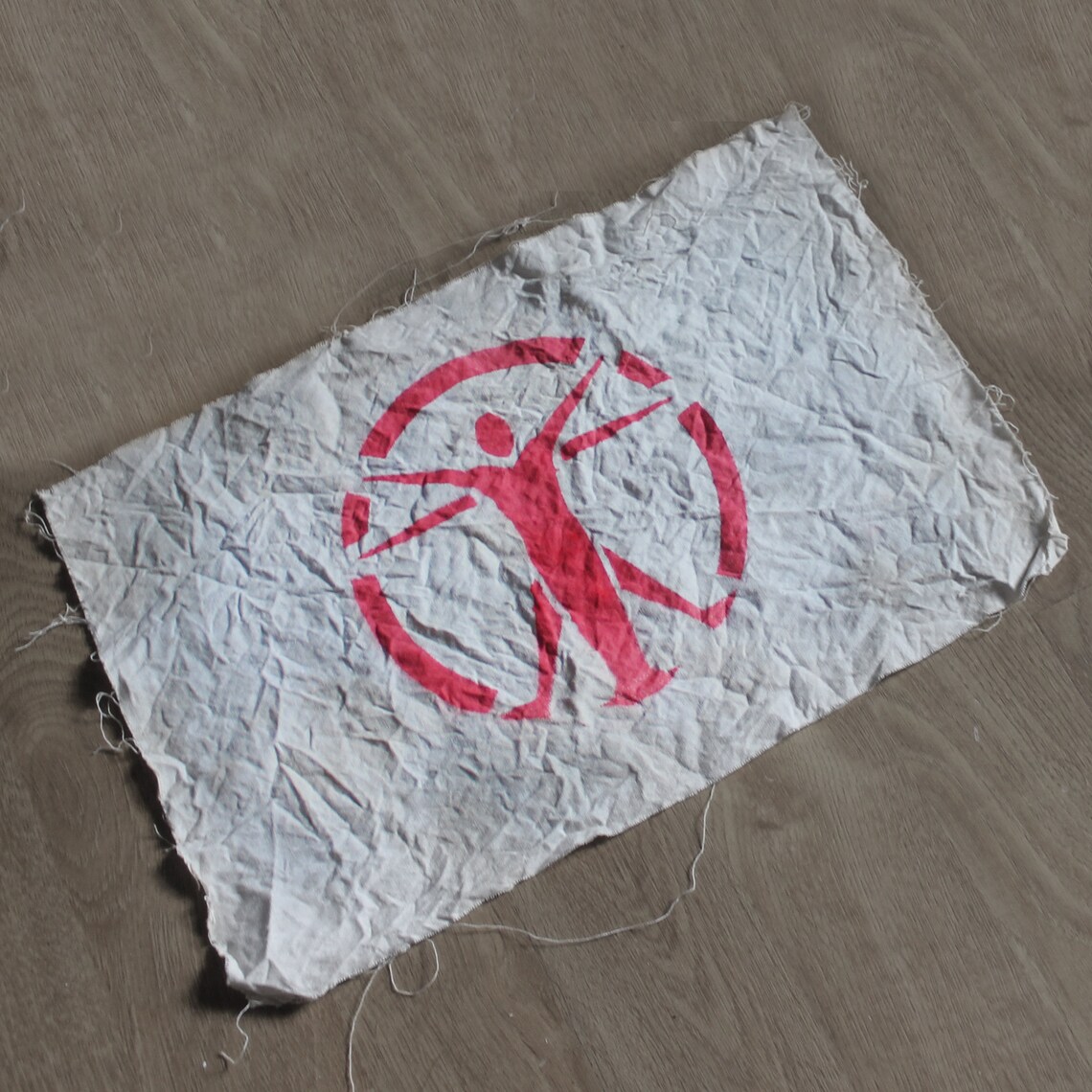 Fallout Inspired Institute Flag - Etsy