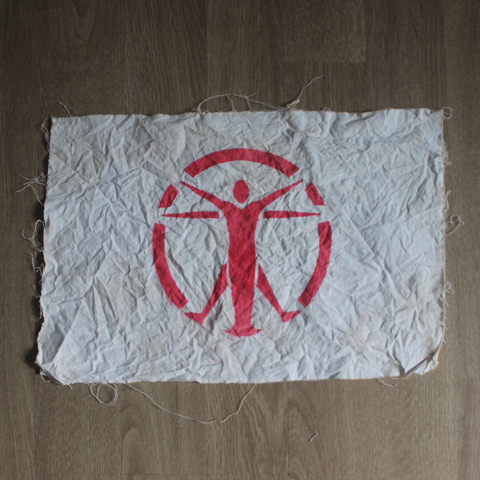 Fallout Inspired Institute Flag - Etsy