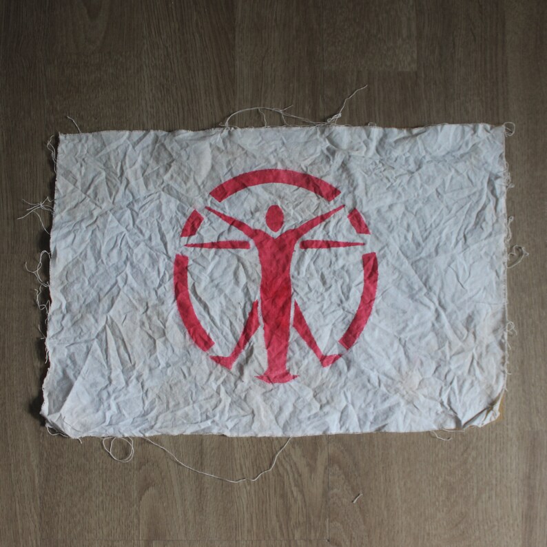 Fallout Inspired Institute Flag - Etsy