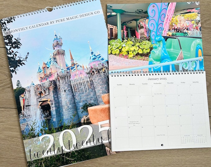2025 Disneyland Calendar, 2025 Monthly Calendar, 2025 Disney Calendar ...