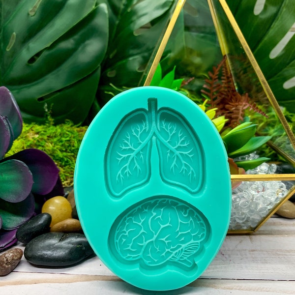 Brain Candy Mold - Etsy
