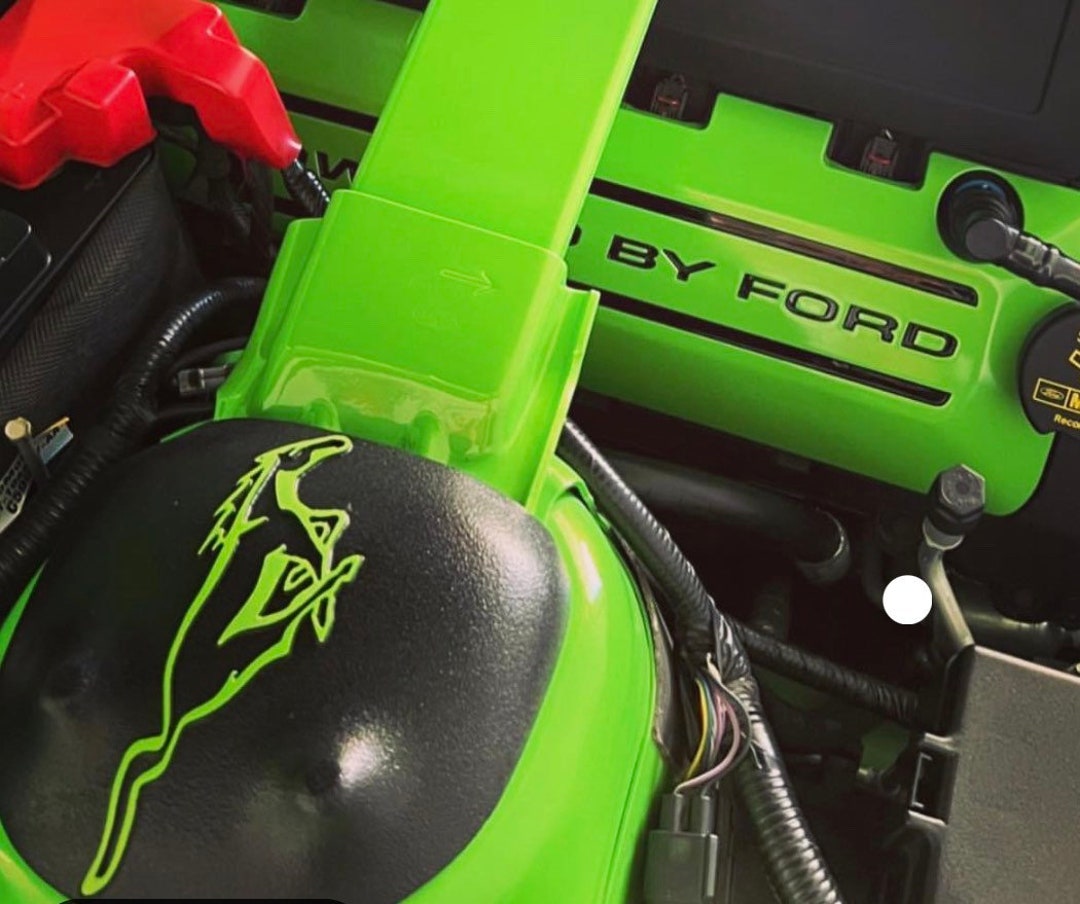 2005-2014 Ford Mustang Custom Strut Tower Covers (set of 2) Color Pony ...