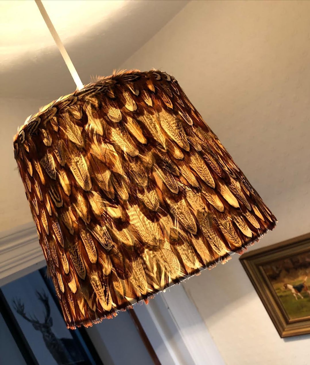 Ring Neck Pheasant Cock Bird Feather Lamp Shade - Etsy