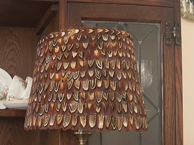 Ring Neck Pheasant Cock Bird Feather Lamp Shade - Etsy