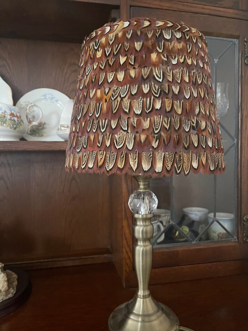 Ring Neck Pheasant Cock Bird Feather Lamp Shade - Etsy
