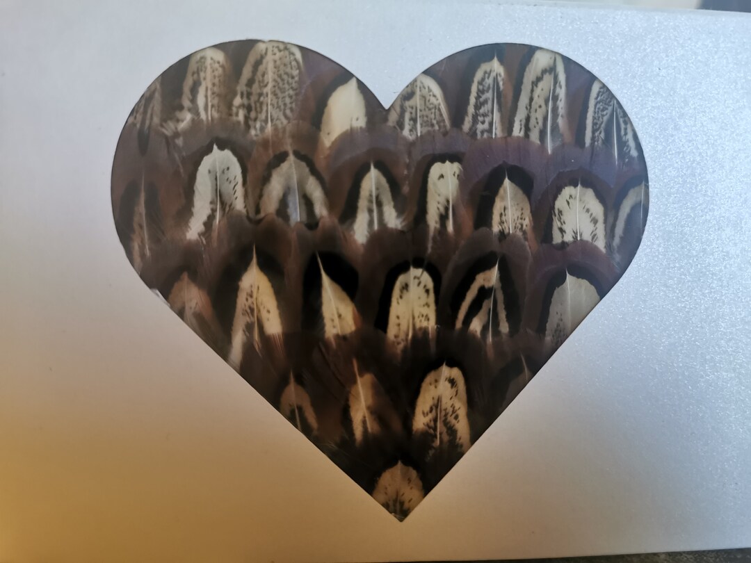 Feather Heart Silhouette Blank Notelet - Etsy