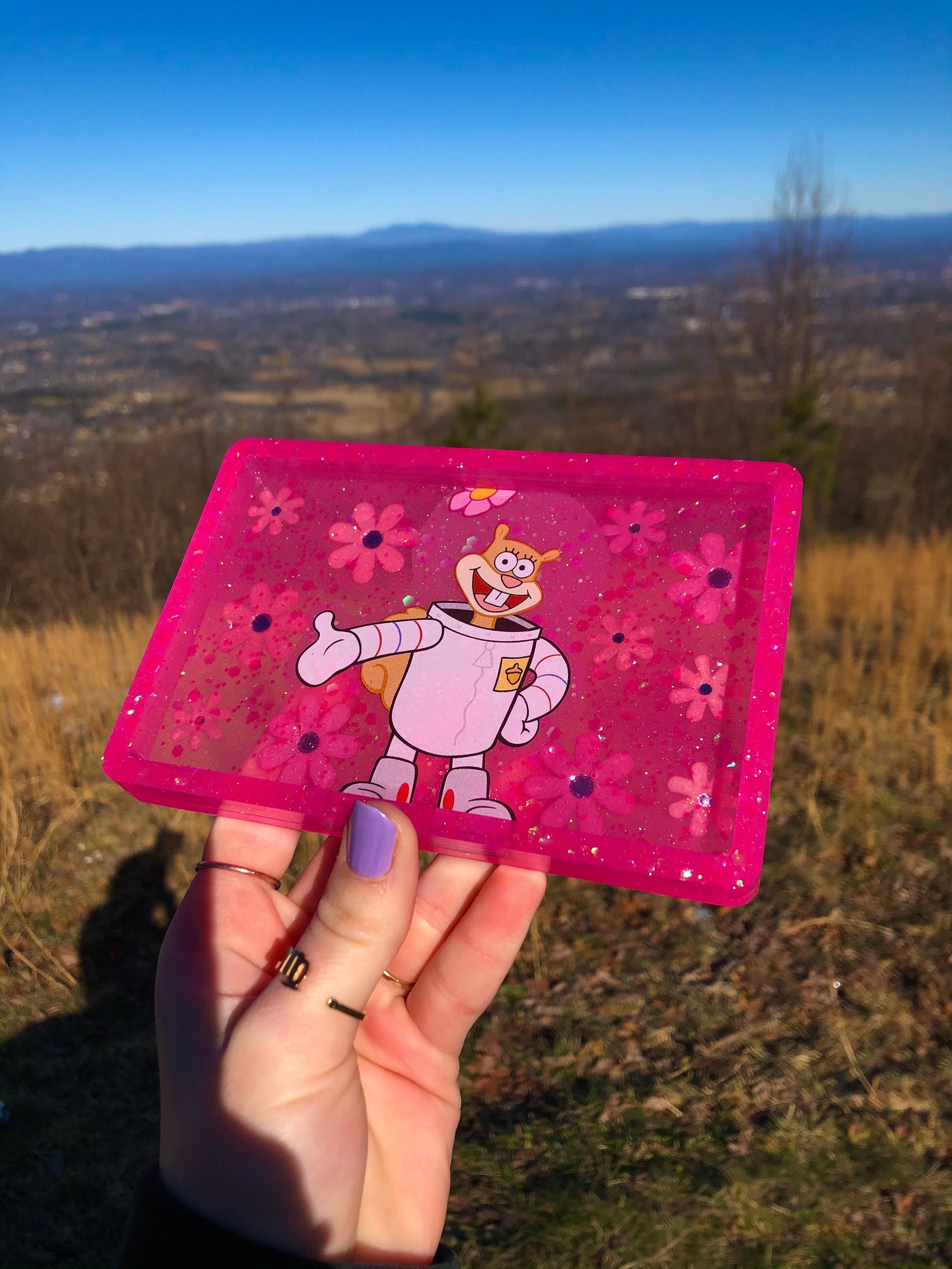 Glittery Pink Sandy Cheeks Decorative Resin Tray With Flowers - Etsy ...