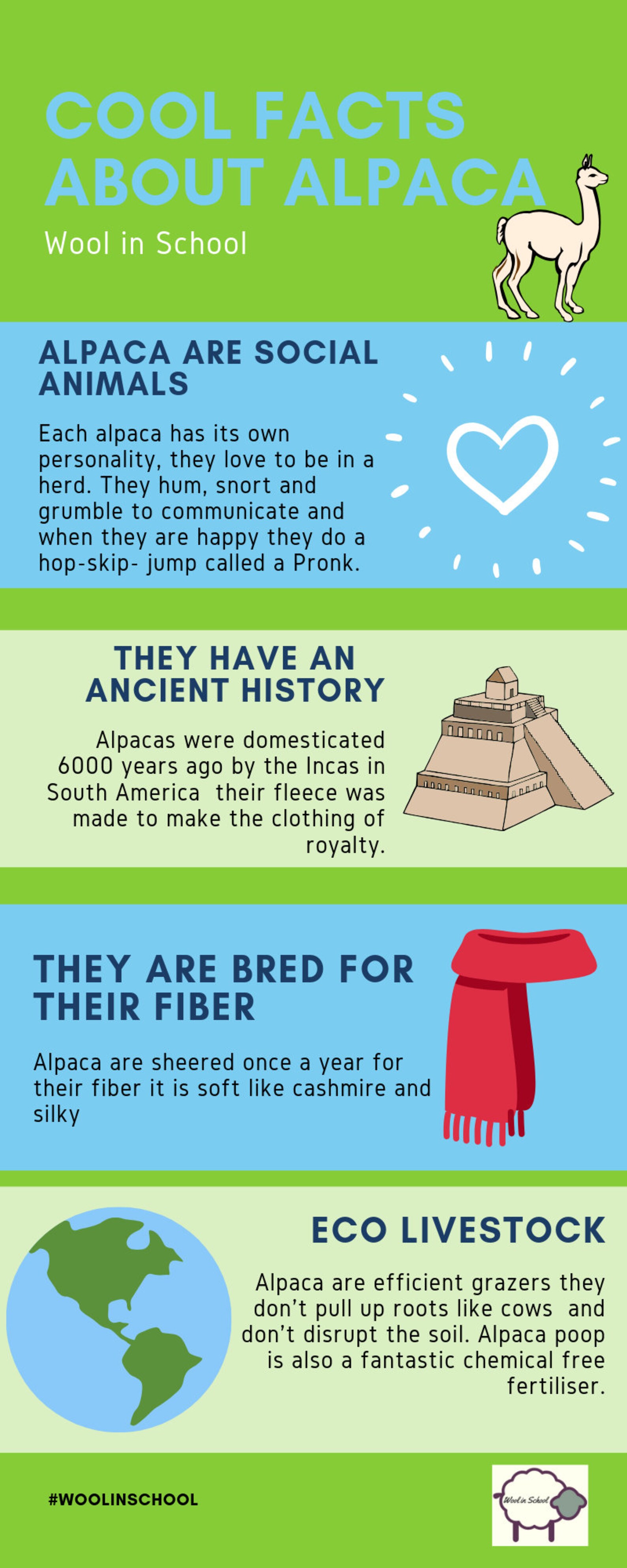 Complete pack Facts about wool including Teacher guide / | Etsy