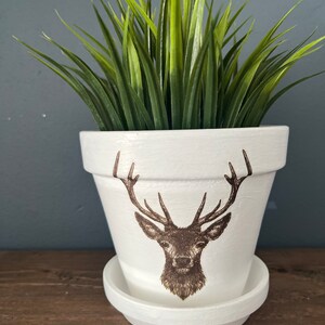 Stag Decoupaged Indoor Plant Pot, Flower Pot, Gift for the Home - Etsy UK