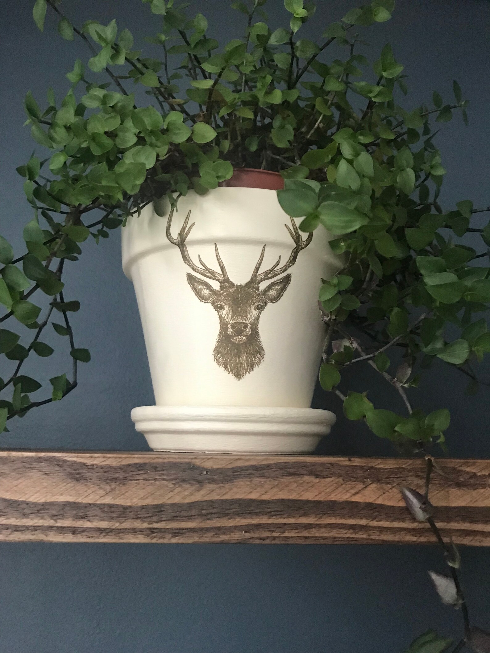 Stag Decoupaged Indoor Plant Pot Flower Pot Gift For The | Etsy