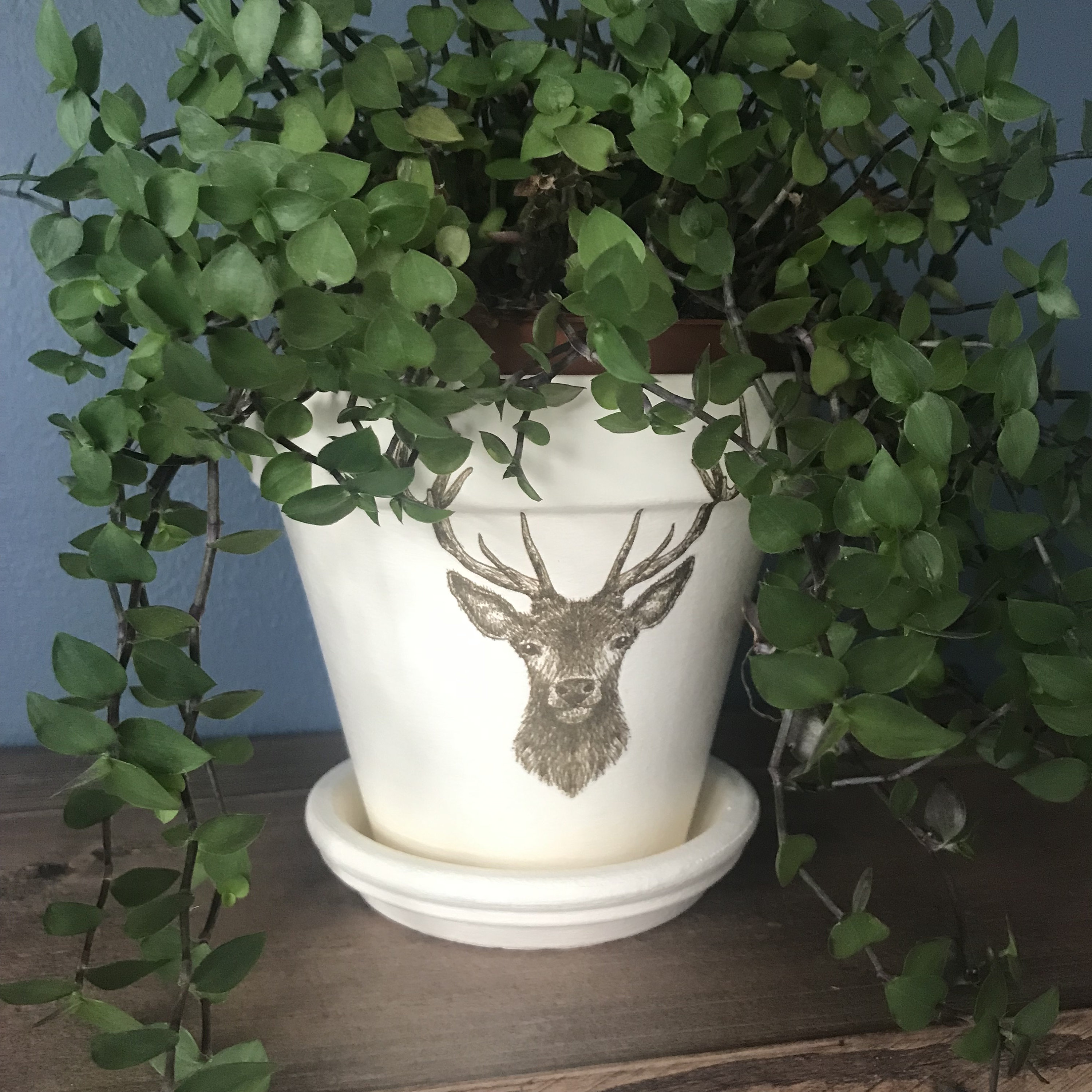 Stag Decoupaged Indoor Plant Pot Flower Pot Gift For The | Etsy