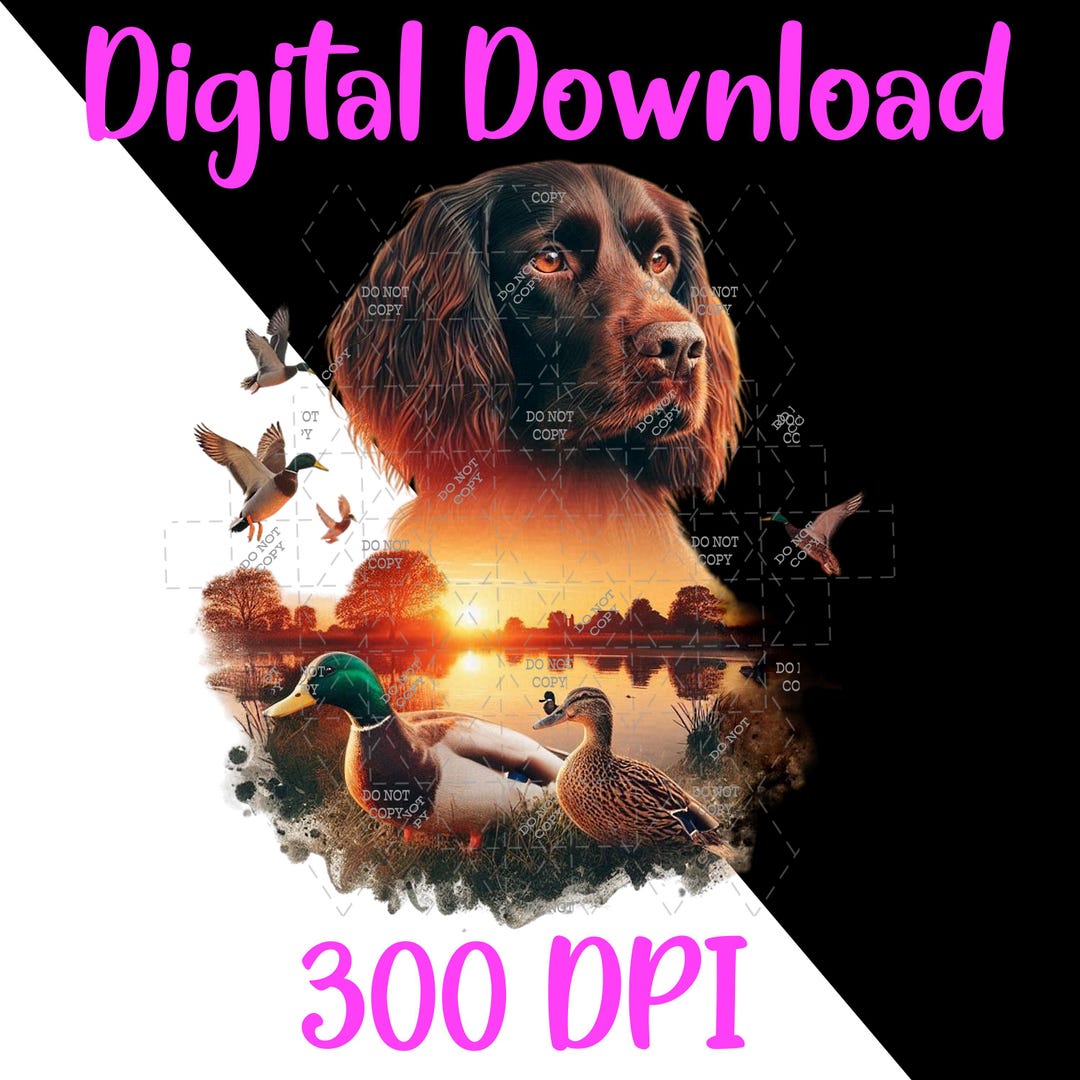 Duck | Hunting | Boykin Spaniel | Digital Download | Png File - Etsy