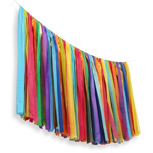 Streamer Fringe Party Backdrop | Ready to Hang, Birthday Baby Shower ...