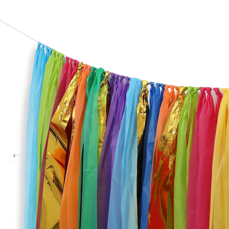 Streamer Fringe Party Backdrop | Ready to Hang, Birthday Baby Shower ...