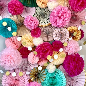 Blush Pink Party Paper Decoration Set: Tissue Pom Poms, Honeycomb Balls ...