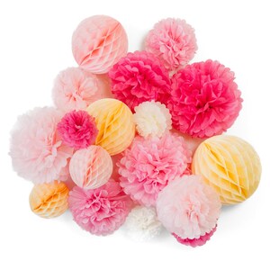 Blush Pink Party Paper Decoration Set: Tissue Pom Poms, Honeycomb Balls ...