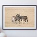 Zebra Print, Wild Animals Poster, African Safari Decor, Wildlife Photo ...