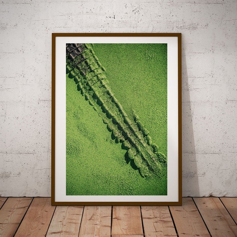 Alligator Wall Decor - Etsy