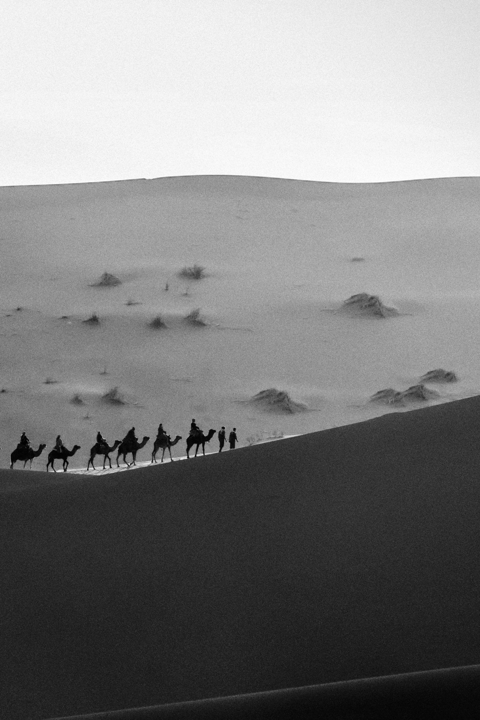 Desert Wall Art Sahara Wall Decor Set of 2 Prints Black and - Etsy