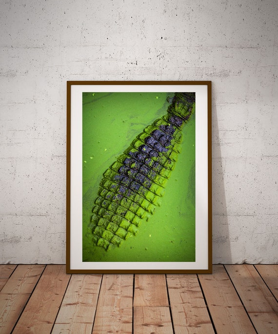 Crocodile Poster Minimalist Art Photo Alligator Print Wild - Etsy