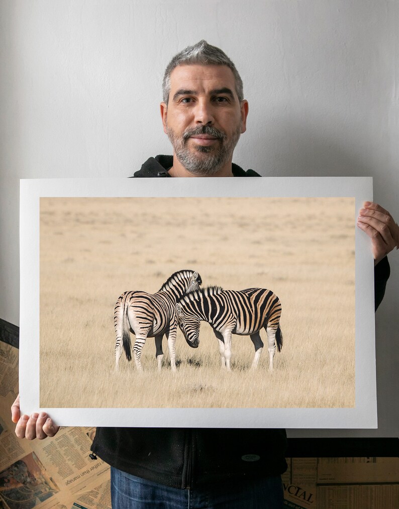 Zebra Print Wild Animals Poster African Safari Decor - Etsy