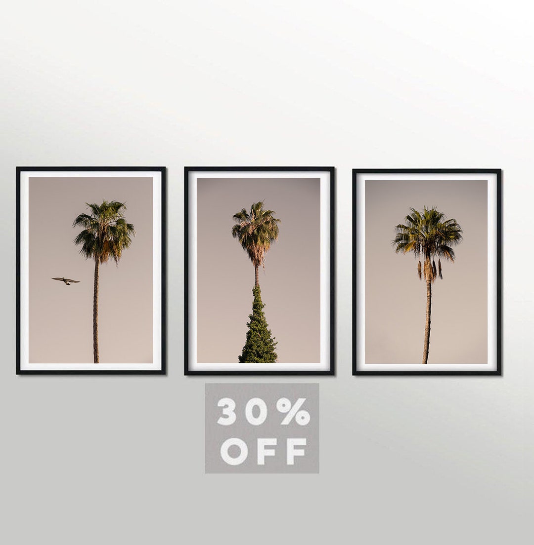Palm Trees Prints, Set of 3 Wall Decor, Boho Palm Poster, Coastal Tree ...