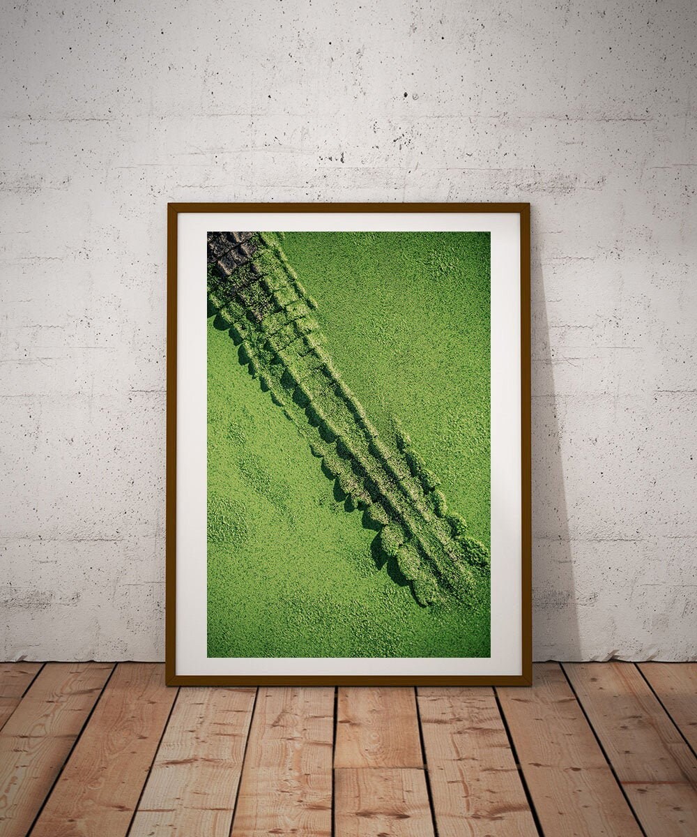 Crocodile Print Alligator Wall Decor Tropical Animal Poster - Etsy