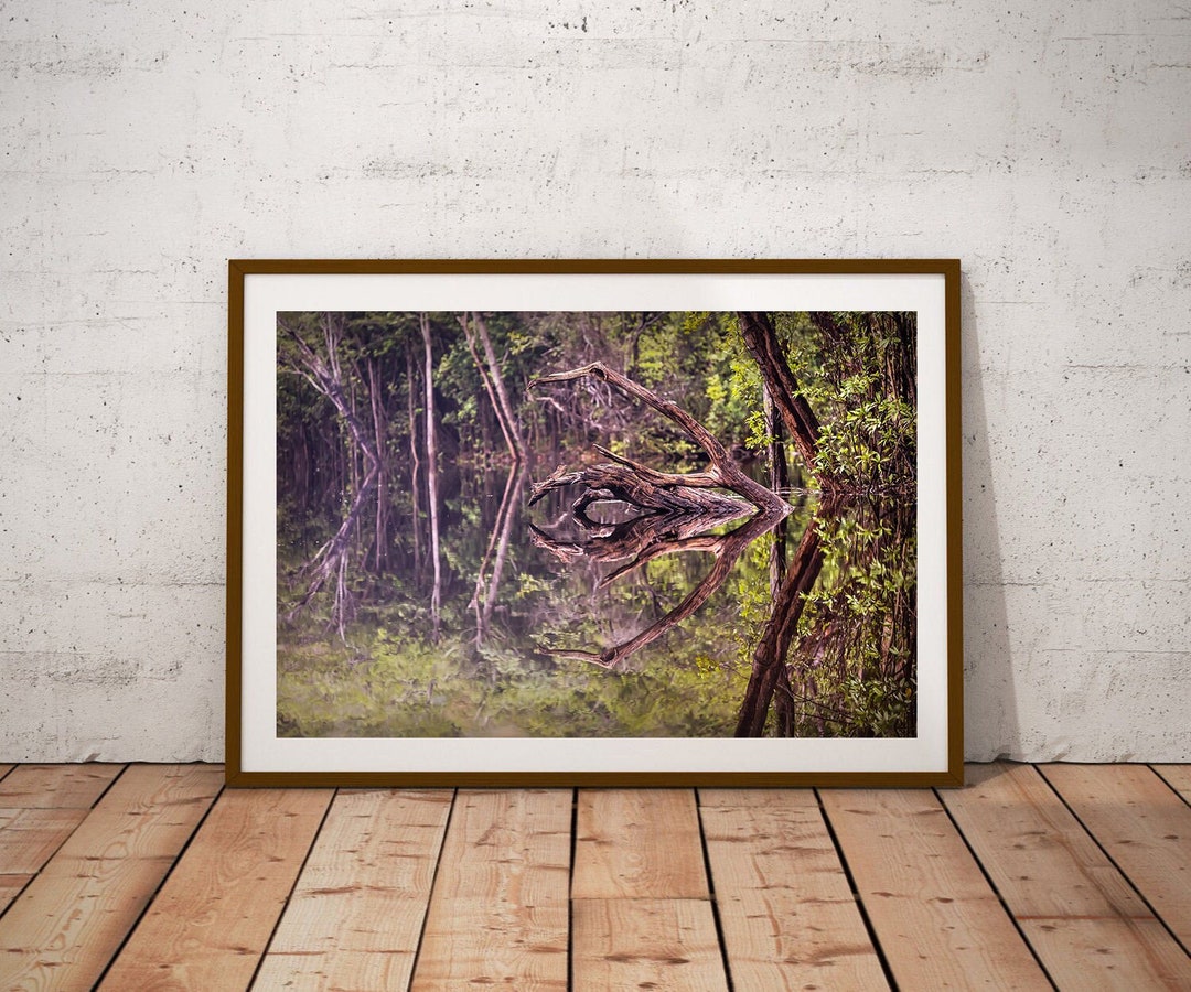 Amazonia Jungle Print: Dry Tree Reflection, Tropical Rainforest Wall ...