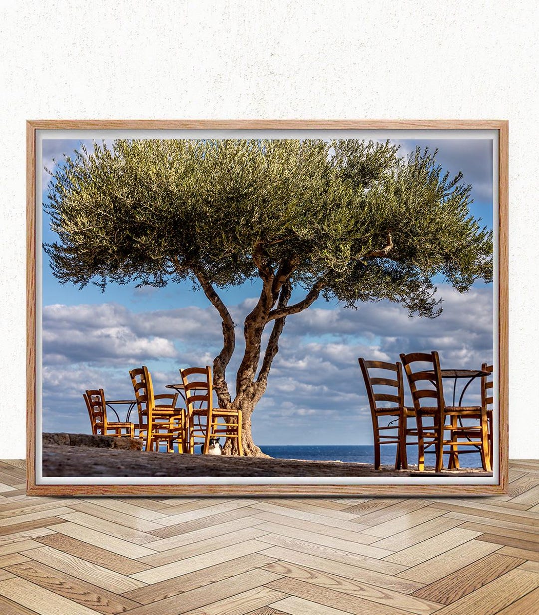 Olive Tree Wall Art, Greece Wall Decor, Fine Art Photography, Greek ...