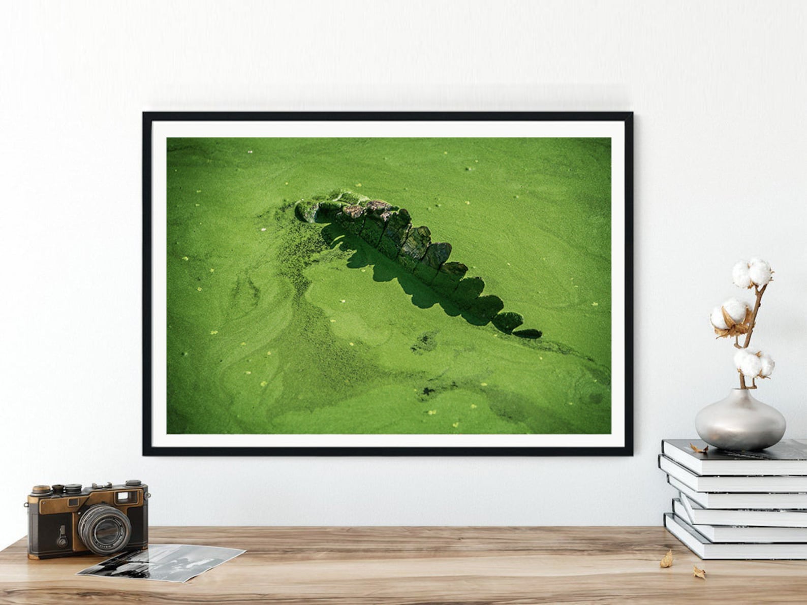 Crocodile Poster Alligator Print Crocodile Skin Green - Etsy