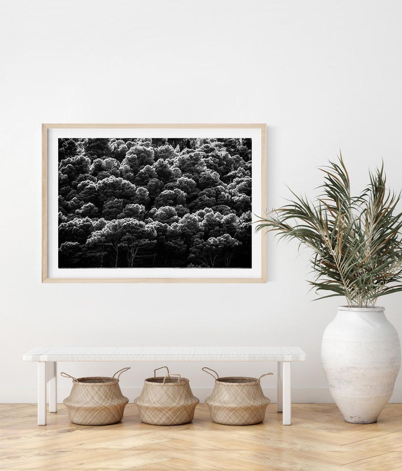Forest Wall Art Tree Large Wall Decor Deciduous Trees Wall - Etsy