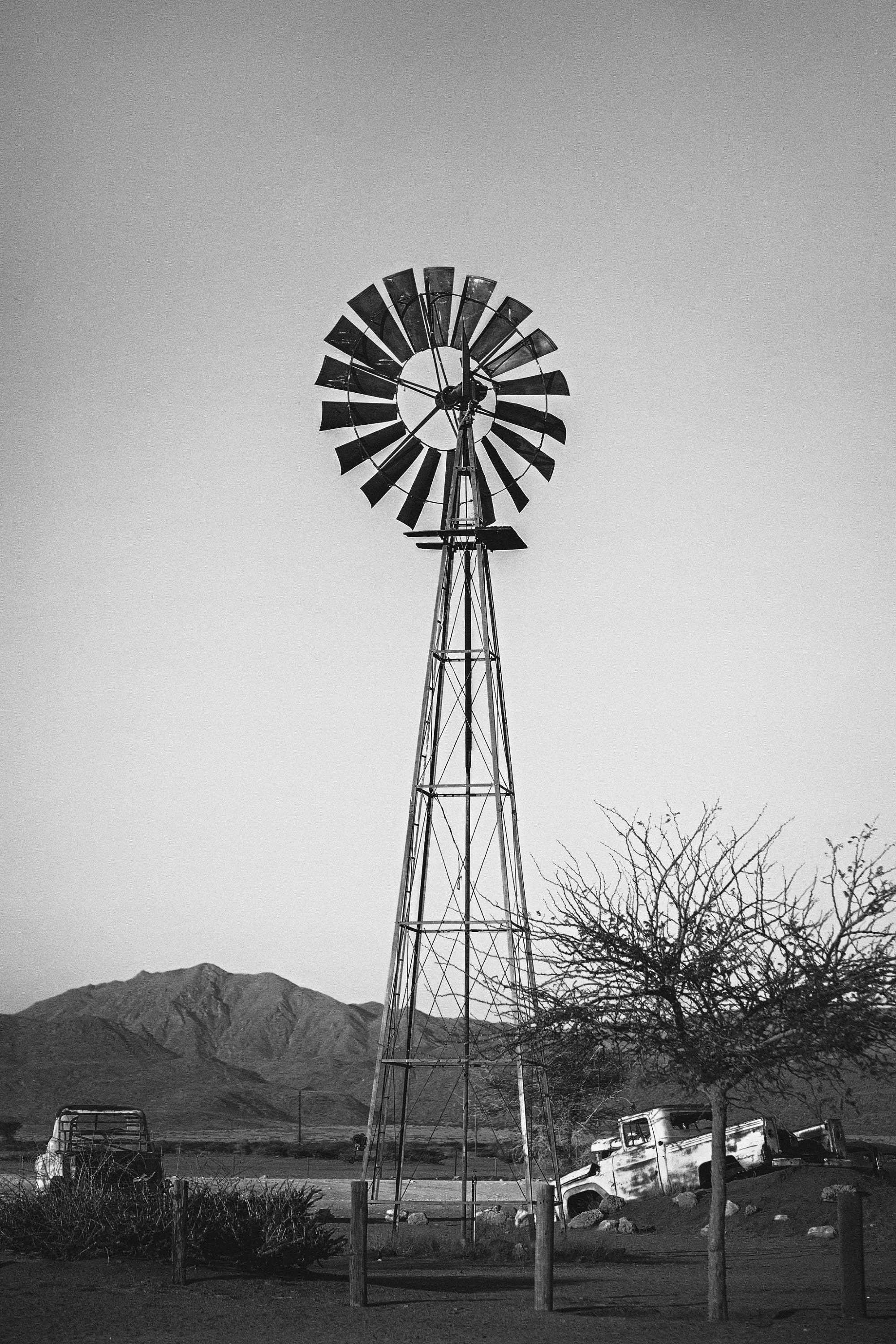 Windmill Boho Print Modern Farmhouse Decor Windmill Wind - Etsy