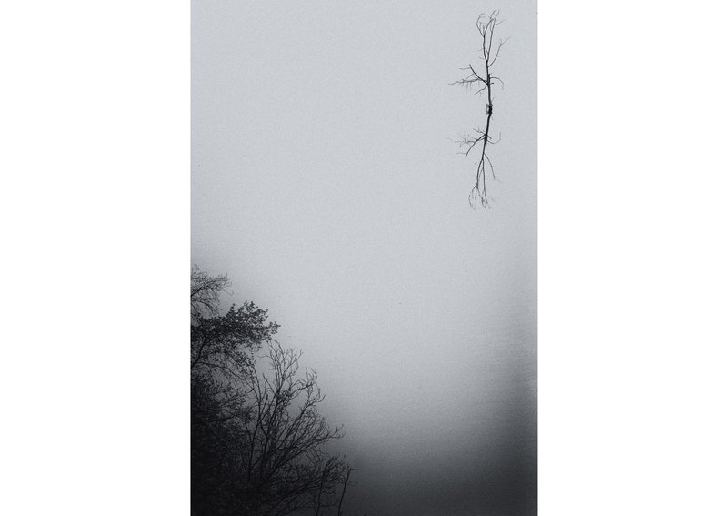 Dry Trees Wall Decor, Trees in Water Wall Art Poster, Landscape ...