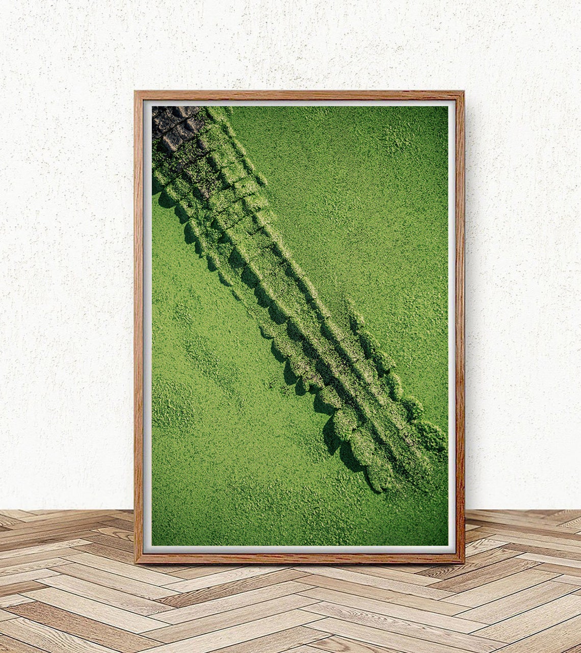 Crocodile Print Alligator Wall Decor Tropical Animal Poster - Etsy