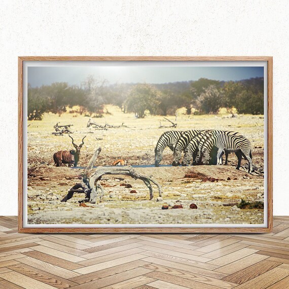Zebra Print Wild Animals Poster African Safari Decor | Etsy