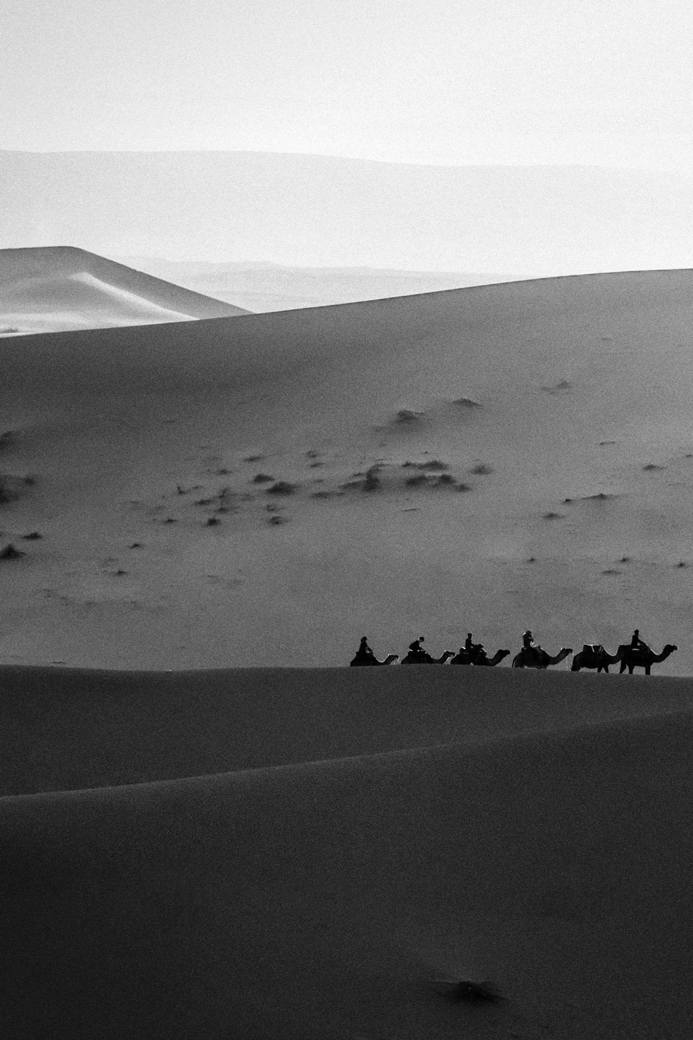 Desert Wall Art Sahara Wall Decor Set of 2 Prints Black and - Etsy