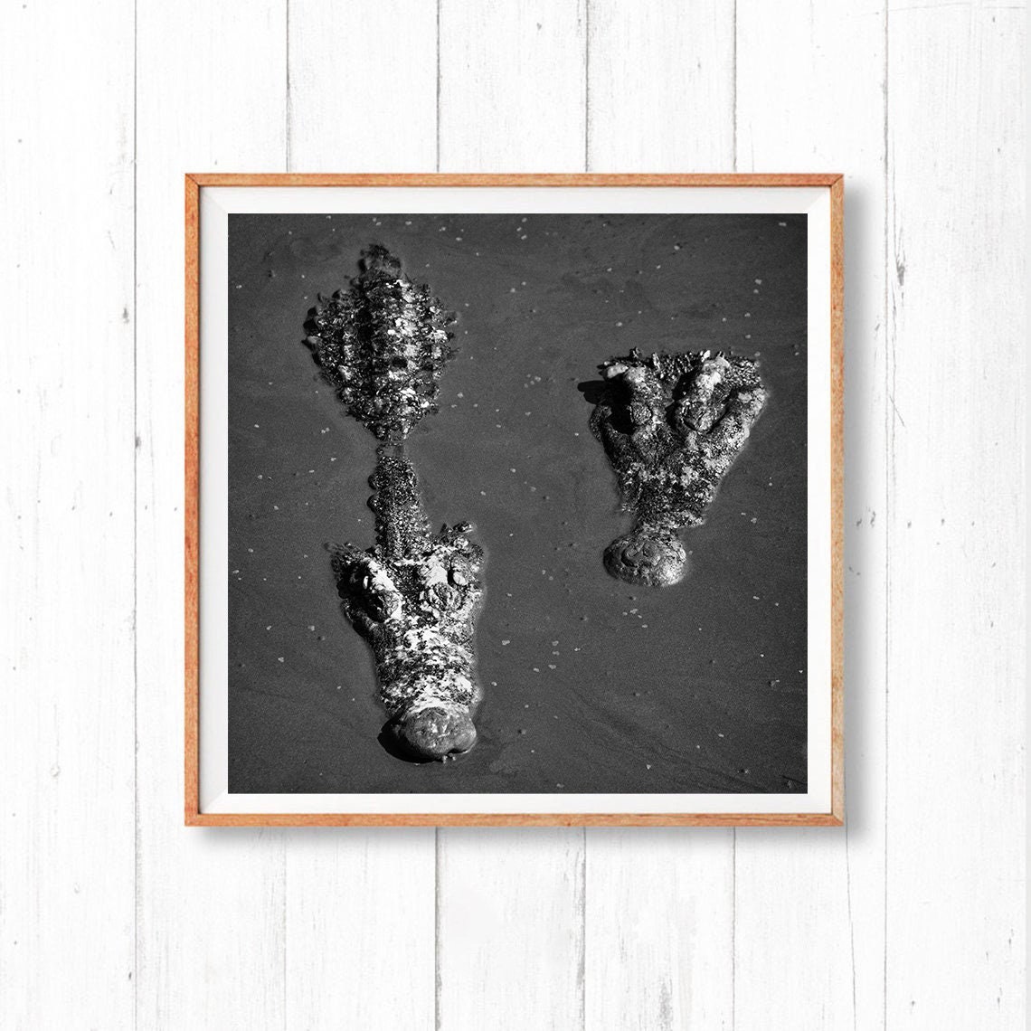 Crocodiles Print, Crocodile Poster, Wild Animals Decor, Loving Animals ...
