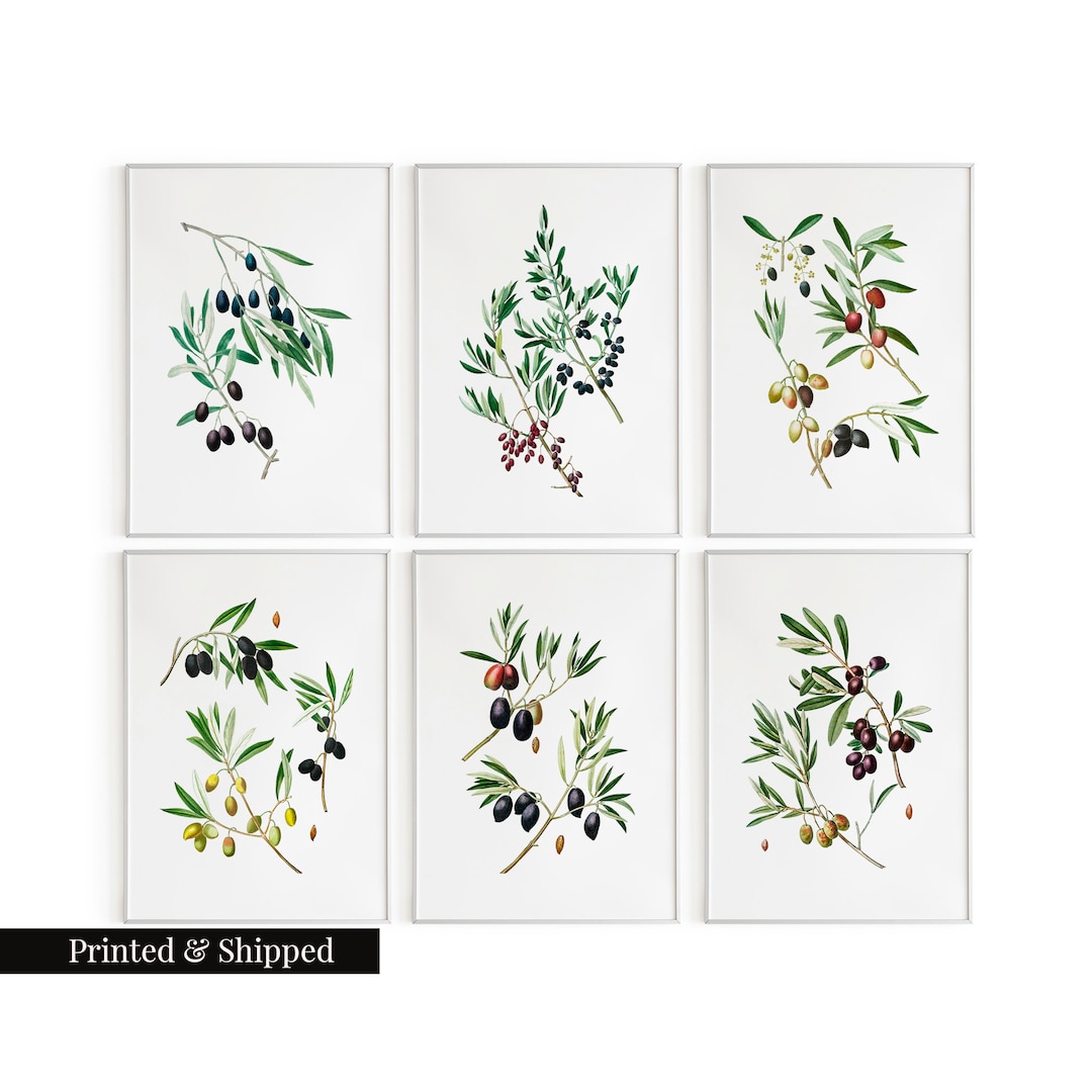 Vintage Olive Branch Wall Art Prints Set of 6 / Botanical Floral Wall ...