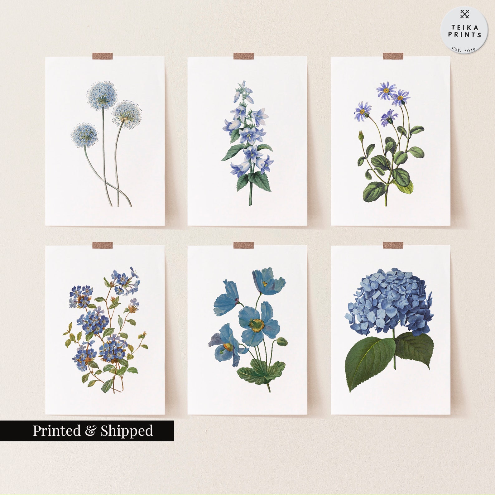 Vintage Blue Flowers Wall Art Prints Set of 6 / Botanical Floral Wall ...