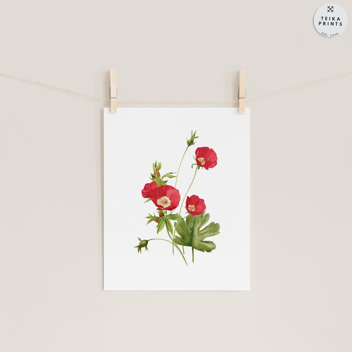 Vintage Poppy Flower Wall Art Prints Set of 3 / Botanical - Etsy