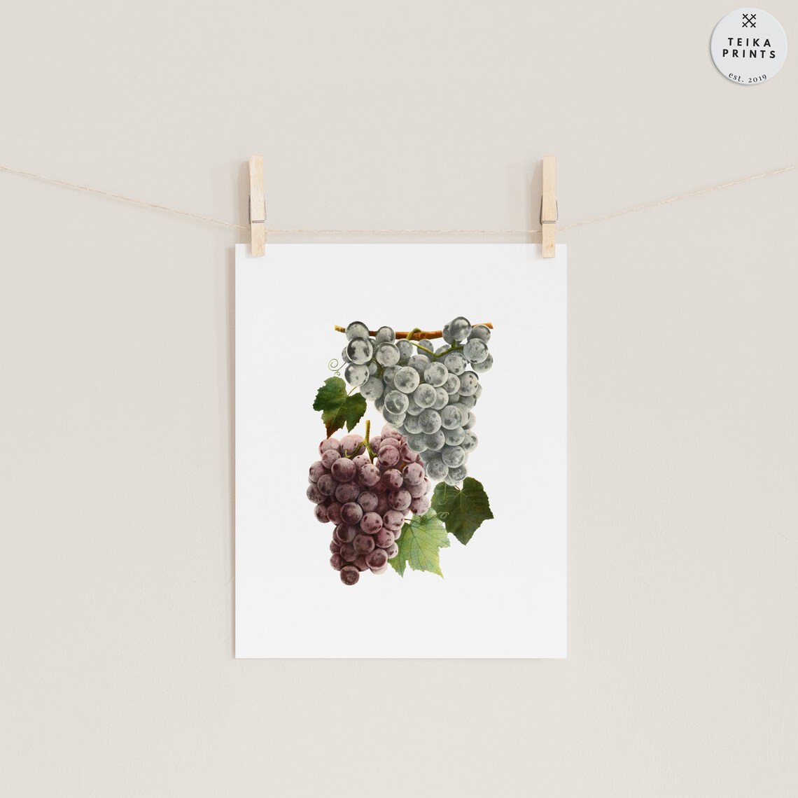 Vintage Grapes Fruit Wall Art Prints Set of 3 / Botanical Floral Wall ...