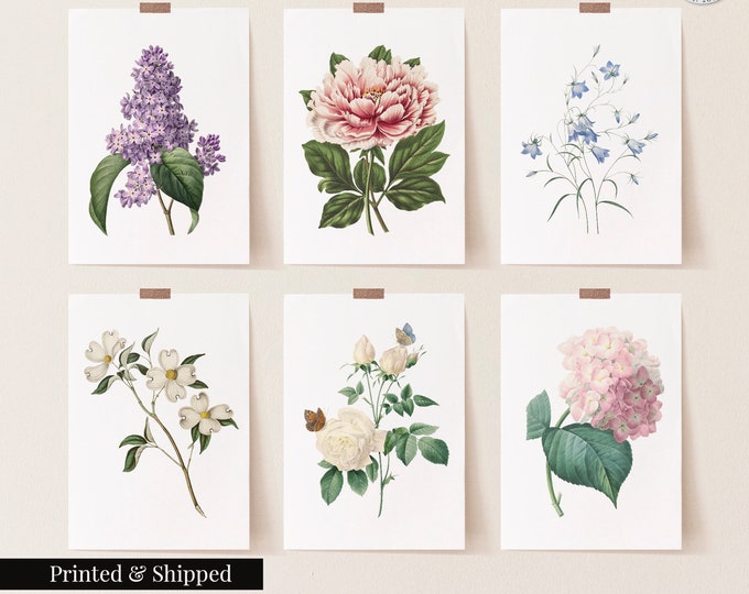 Peony Print, Set of 3 Flower Print, Peony Wall Art, Blush Pink Prints ...