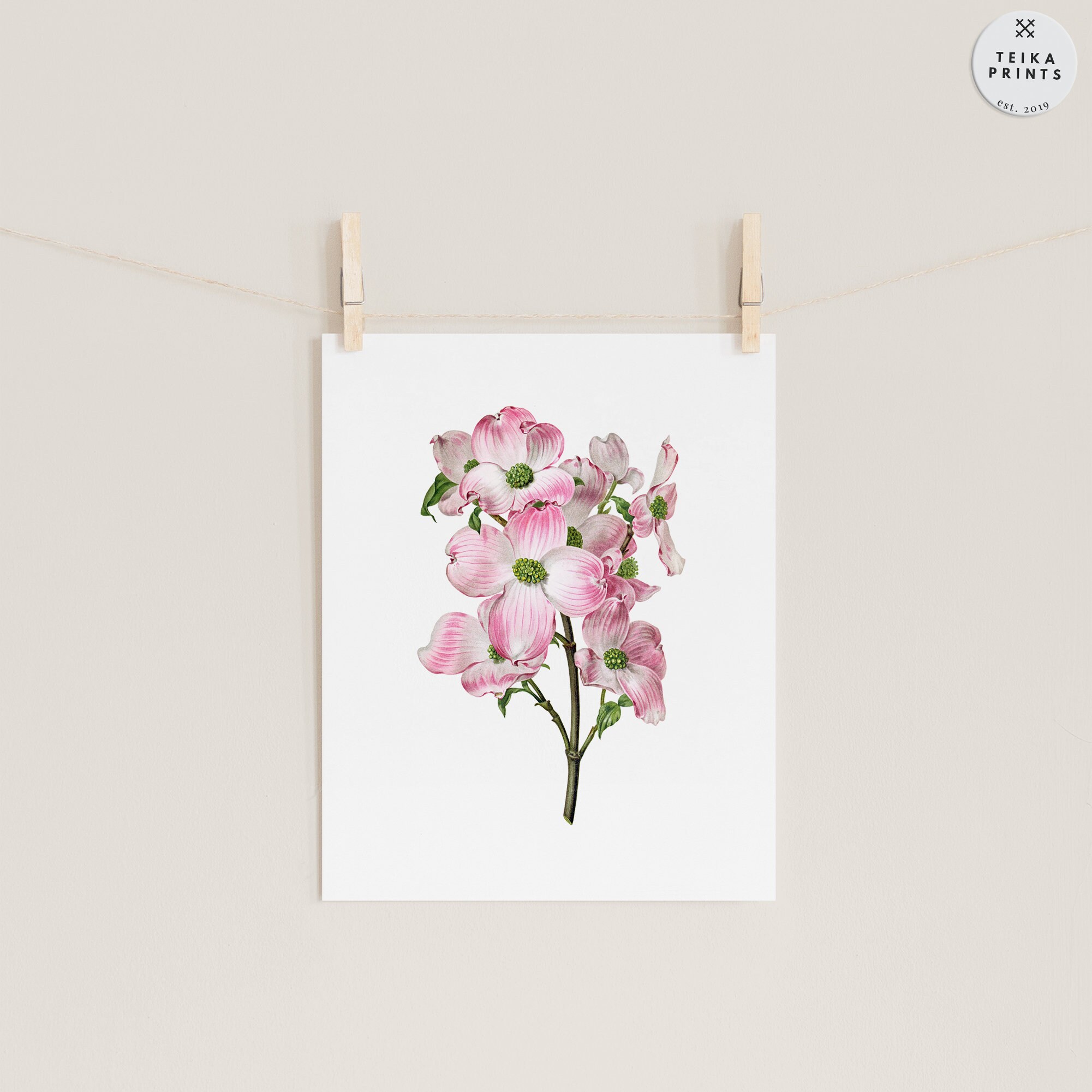 Vintage Pink Flowers Wall Art Prints Set of 6 / Botanical | Etsy