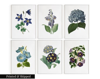 Vintage Blue Flowers Wall Art Prints Set of 6 / Botanical - Etsy