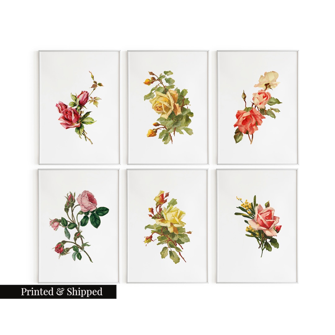 Vintage Roses Wall Art Prints Set of 6 / Botanical Floral Wall Art ...