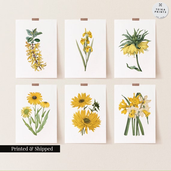 Vintage Yellow Flowers Wall Art Prints Set of 6 / Botanical - Etsy